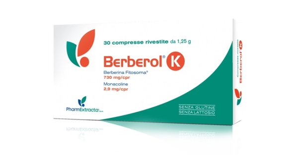BERBEROL K 30 COMPRESSE